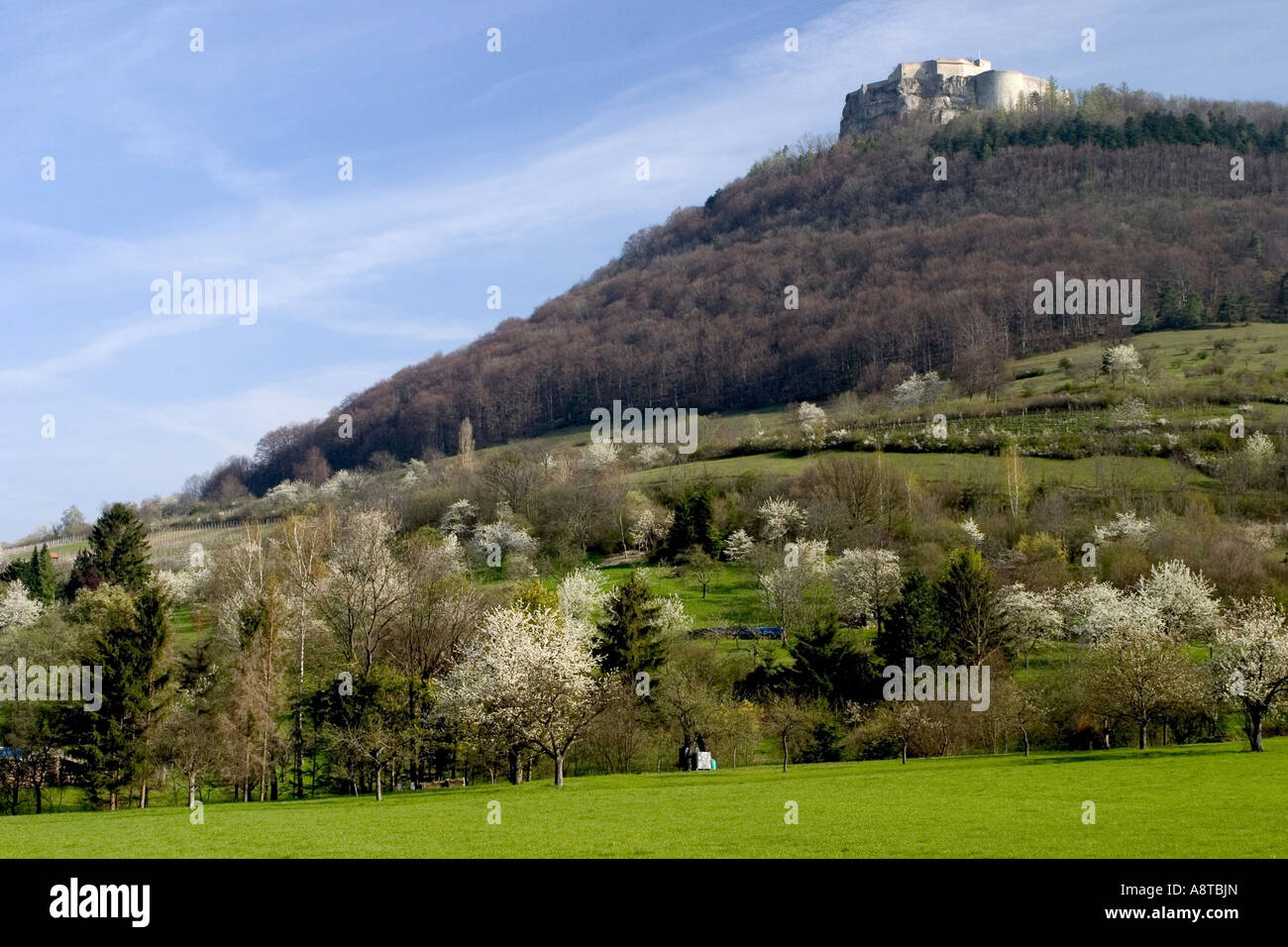 castle ruin Hohenneuffen, Germany, Baden-Wuerttemberg, Neuffen Stock ...