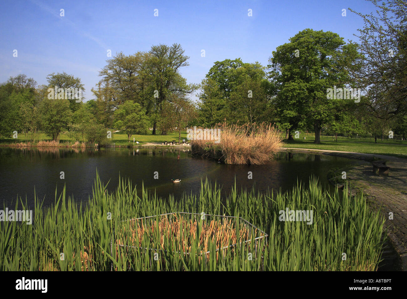 Rosensteinpark of Stuttgart, Germany, Baden-Wuerttemberg Stock Photo ...