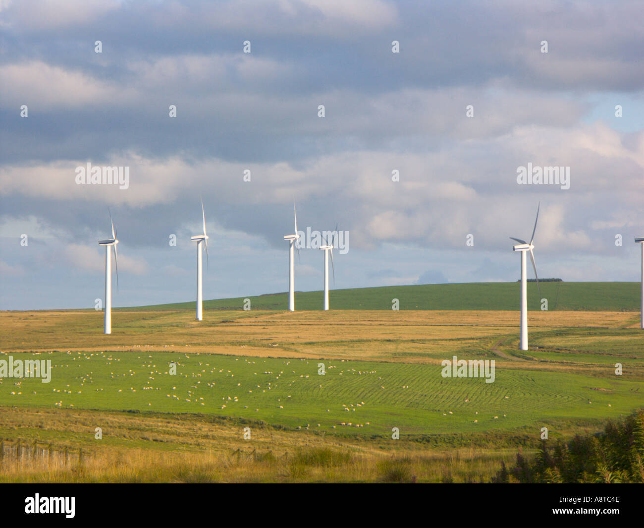 Dun Law Wind Farm Stock Photos & Dun Law Wind Farm Stock Images - Alamy