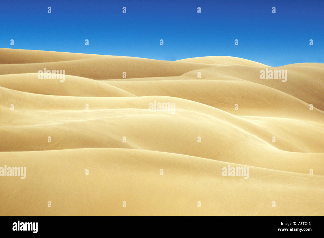 sand dunes, Libya, Sahara Stock Photo - Alamy