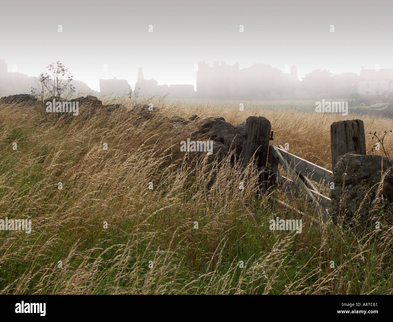 Lindisfarne abbey hi-res stock photography and images - Alamy
