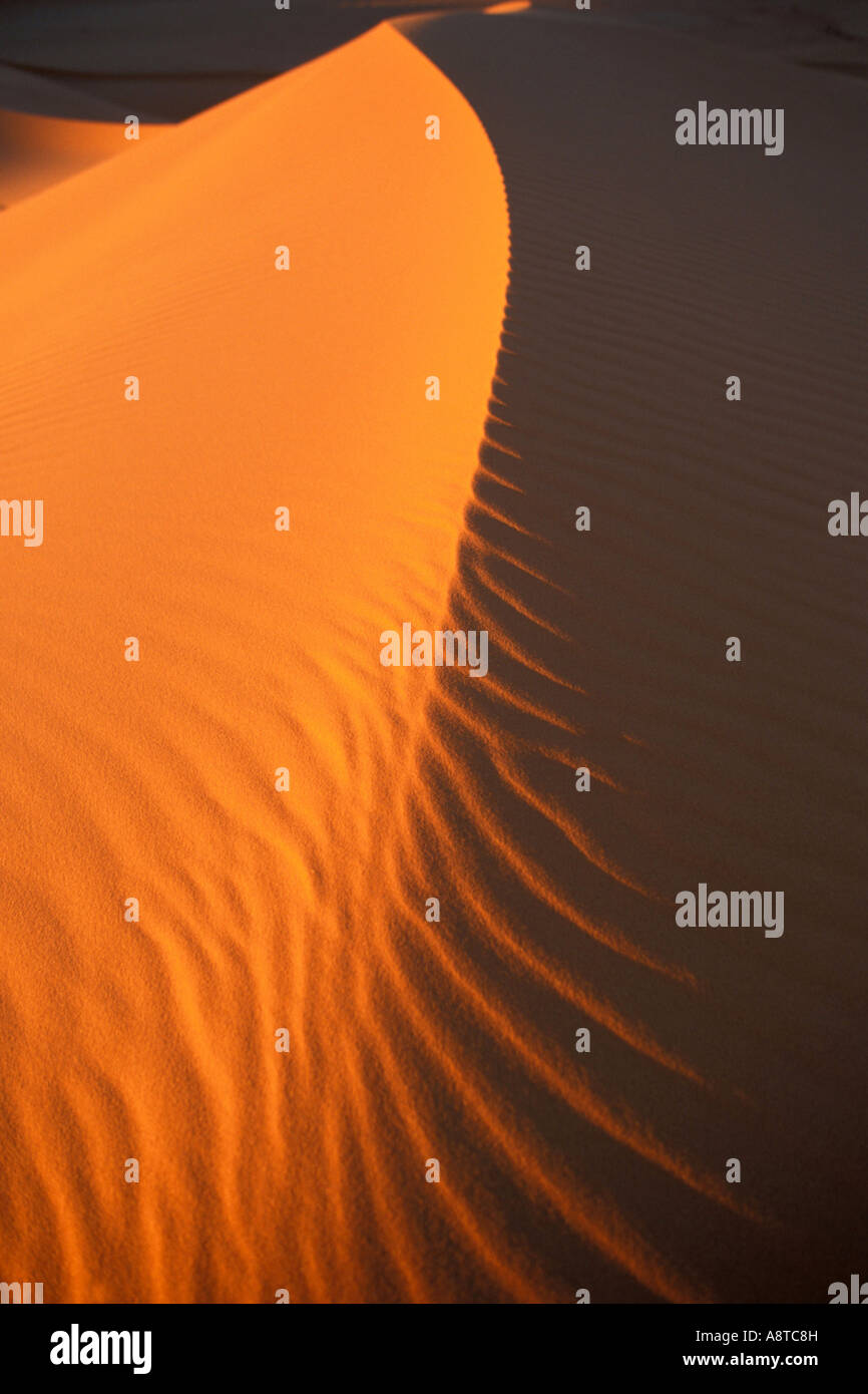 Sahara mcphoto landscape hi-res stock photography and images - Alamy