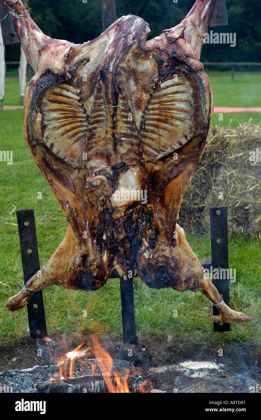South American Asado lamb cooking on iron stakes on an outdoor barbeque ...