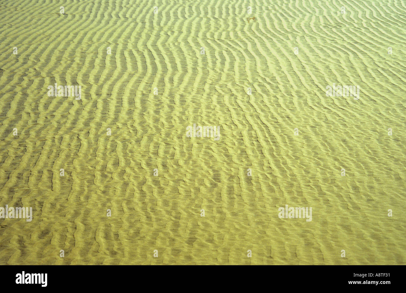 Pattern on beach sand hi-res stock photography and images - Alamy