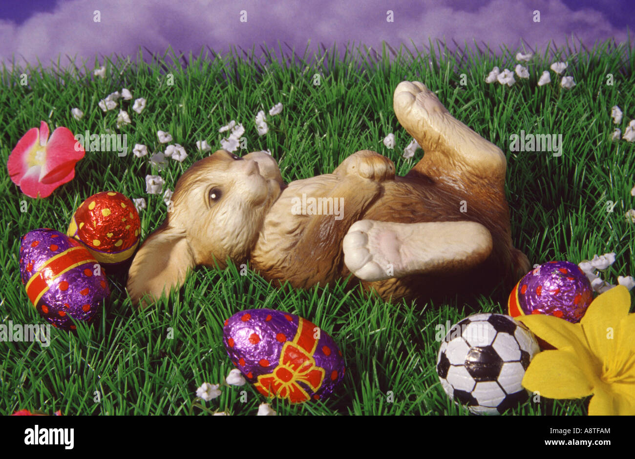 Easer bunny having a break Stock Photo - Alamy
