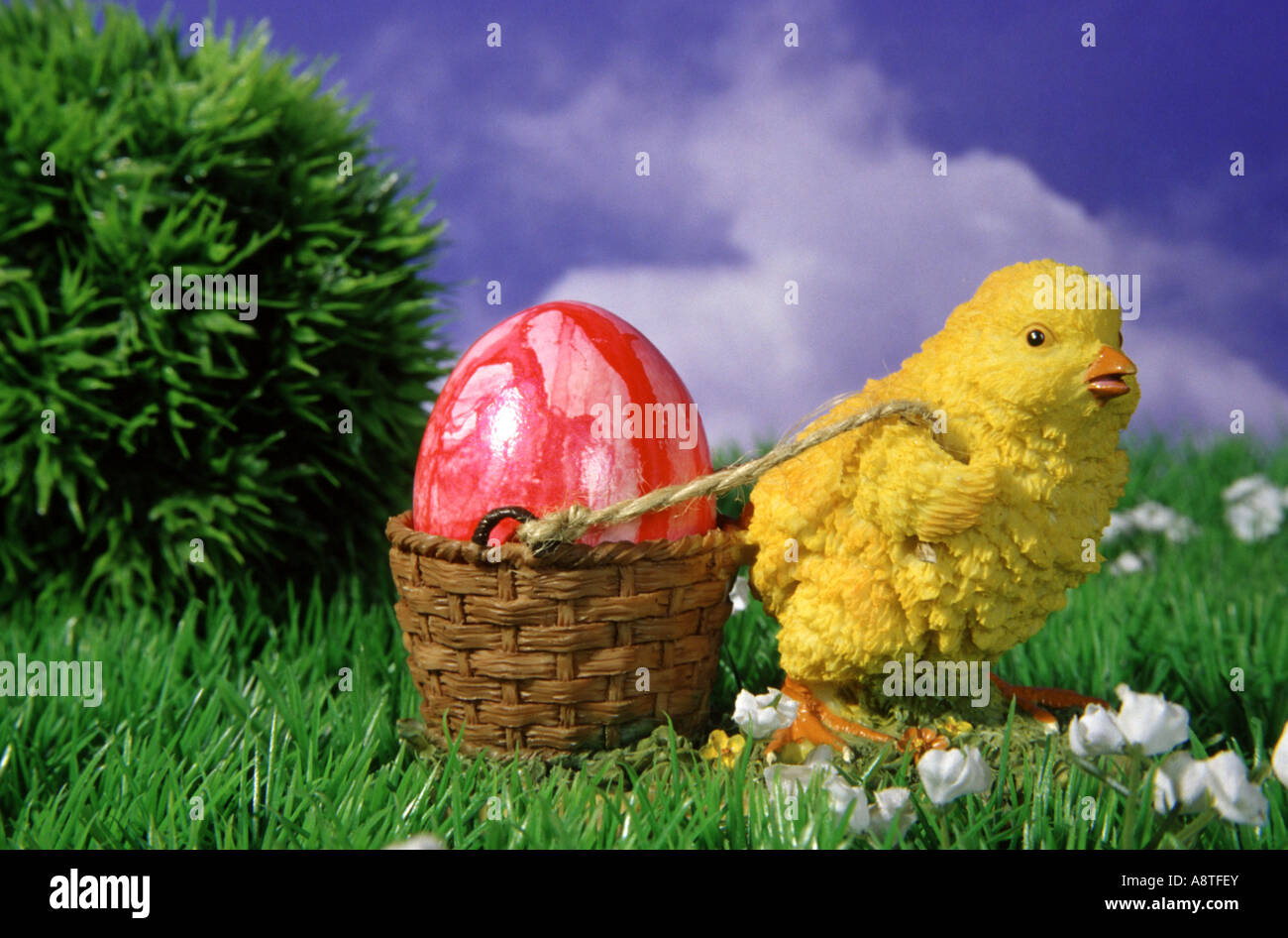 chick transporting Easter egg Stock Photo - Alamy