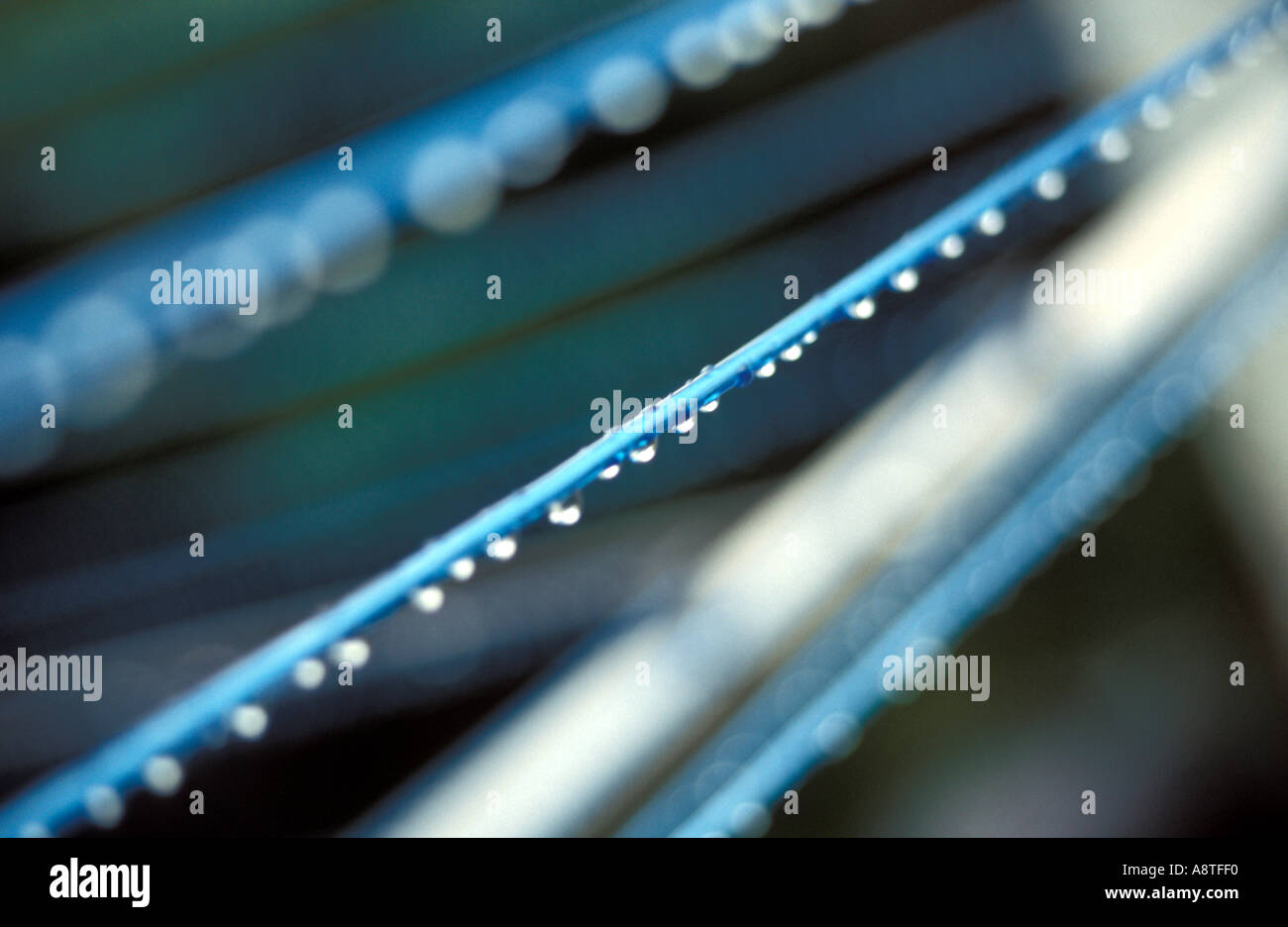 Raindrops on a clothes line Stock Photo - Alamy