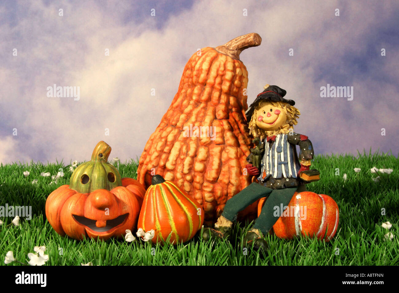 straw puppet sitting on pumpkin Stock Photo - Alamy