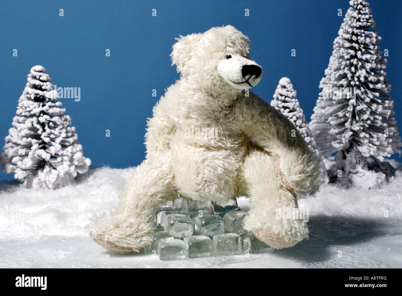 soft toy polar bear sitting on ice cubes Stock Photo - Alamy