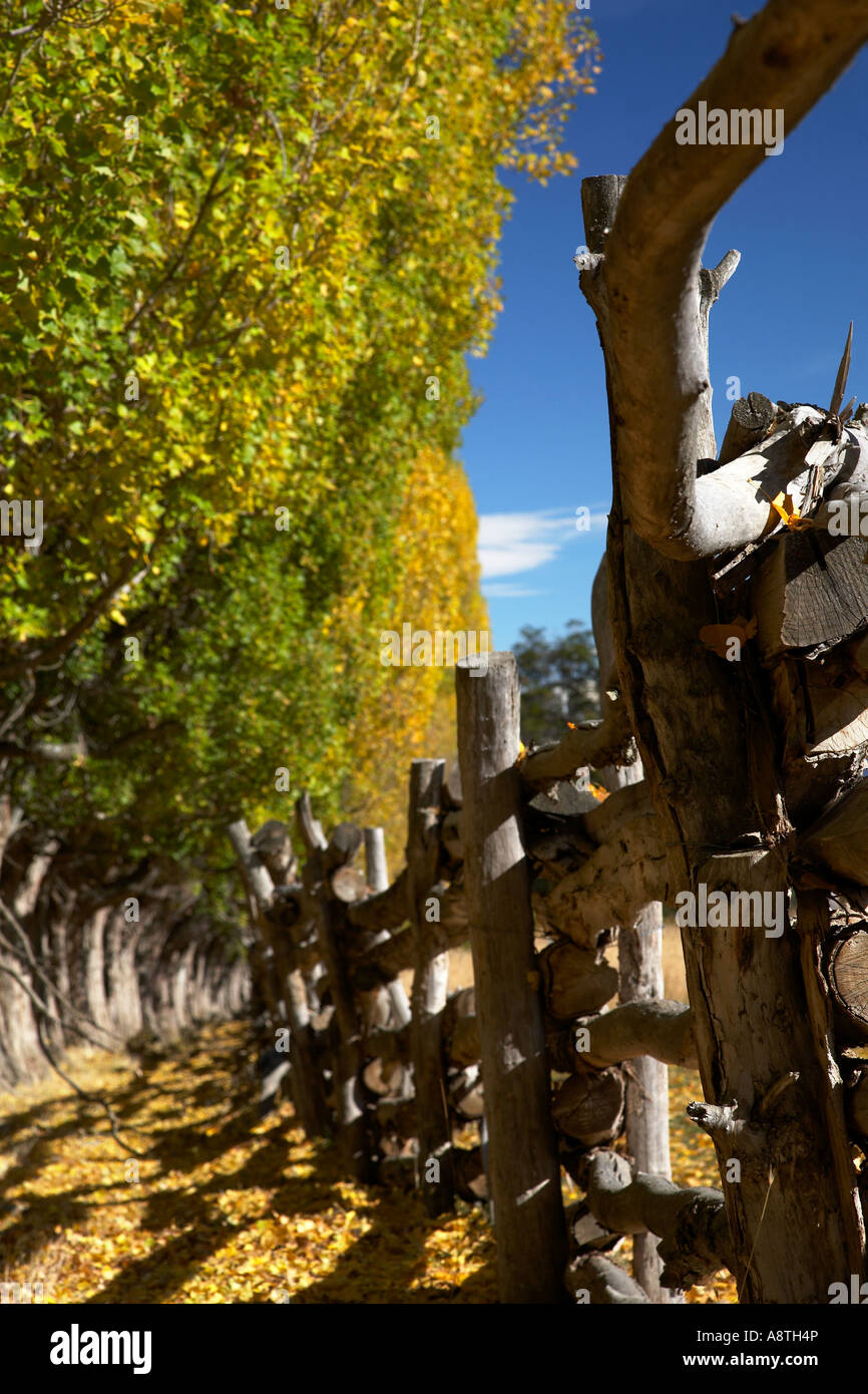 wood fence with trees in fall Stock Photo - Alamy