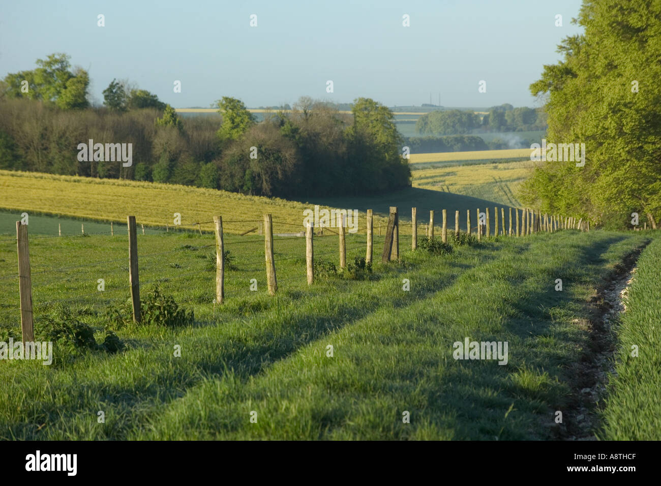 English countryside lush green fields hi-res stock photography and ...