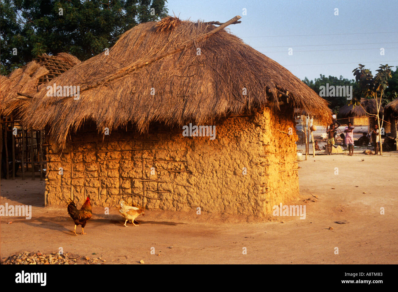 Mud hut grass roof hi-res stock photography and images - Alamy