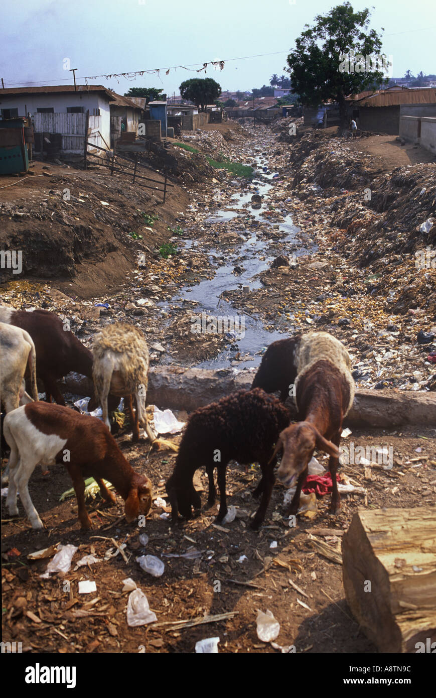 Ghana poverty hi-res stock photography and images - Alamy