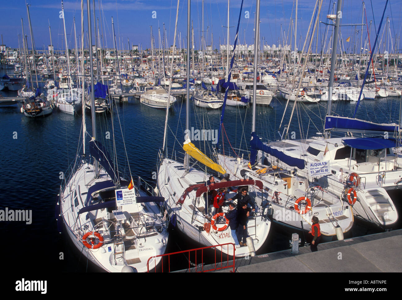 boats, sailboats, yachts, boat rental, boat rentals, Olympic Port, city ...