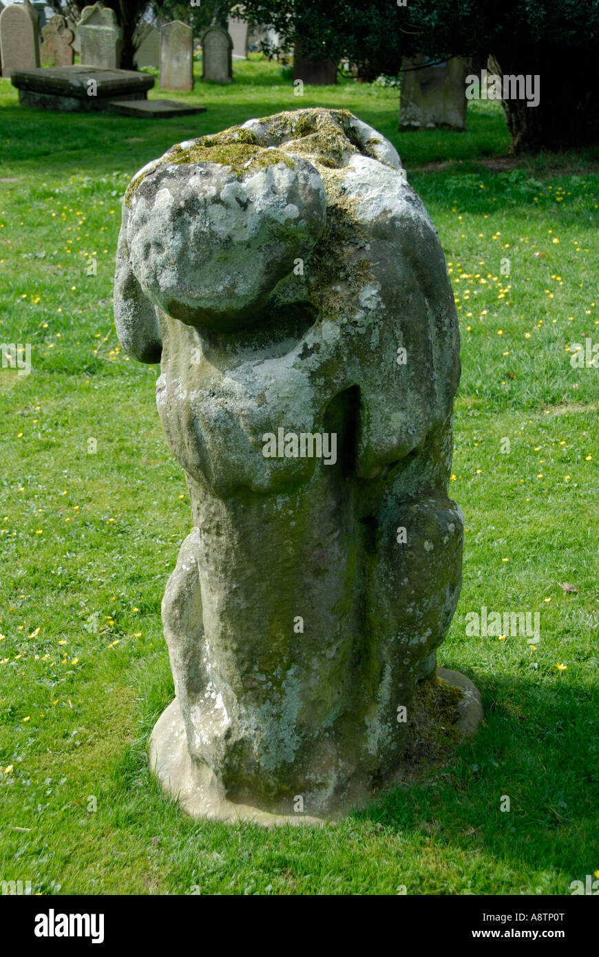 Dacre bear hi-res stock photography and images - Alamy