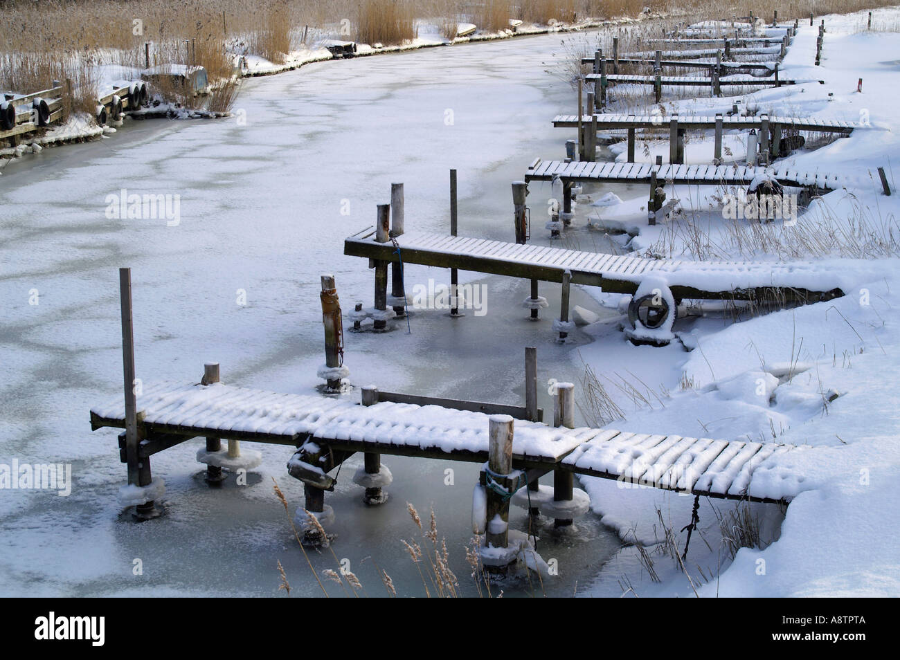 In a cold river hi-res stock photography and images - Alamy