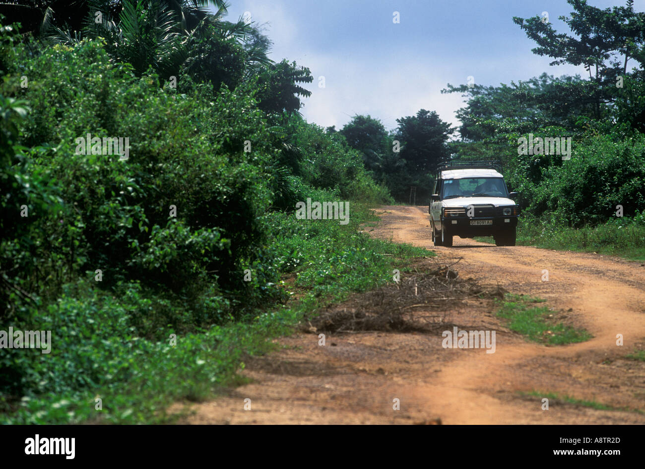 Track road forest jungle africa hi-res stock photography and images - Alamy