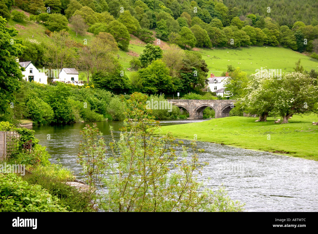 River Dee at Carrog Berwyn Mountains Denbighshire Llangollen North ...