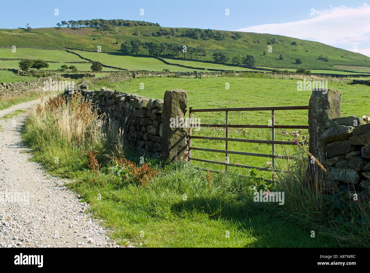 Farm gate hi-res stock photography and images - Alamy