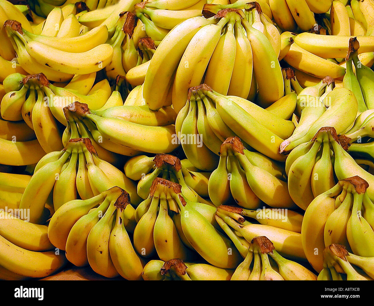 Bunched together hi-res stock photography and images - Alamy
