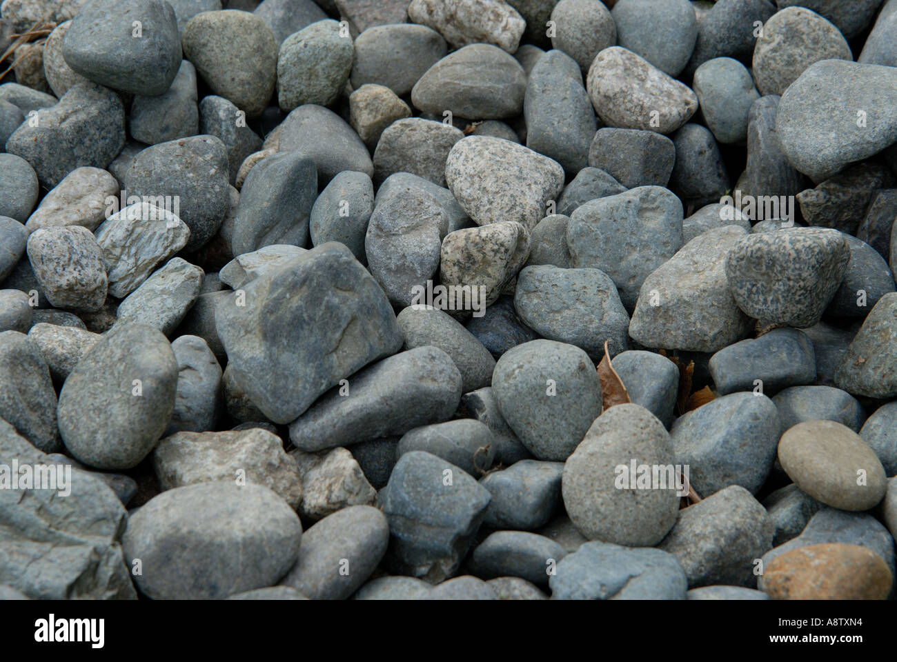 A collection of river rocks Stock Photo - Alamy
