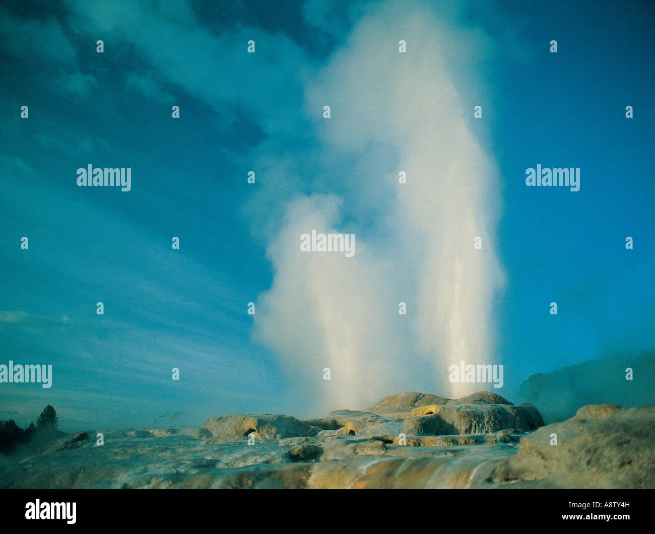 New zealand location of pohutu geyser steam hi-res stock photography ...