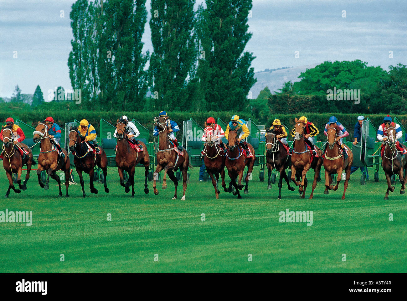Full length horses races racing hi-res stock photography and images - Alamy