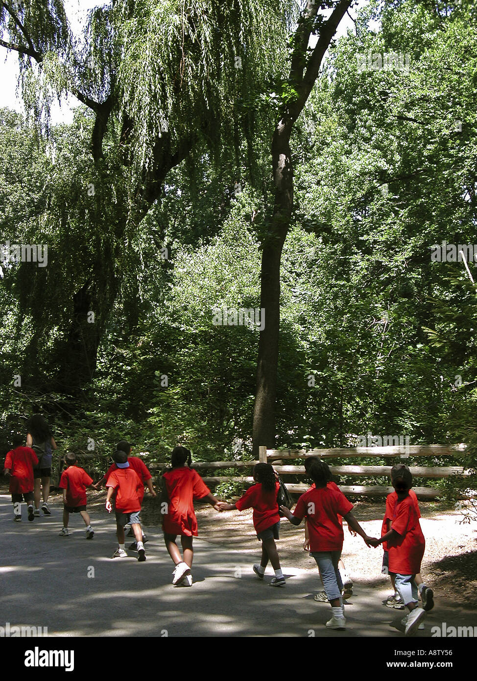 Group of kids in a single file holding hands walking through a tree ...