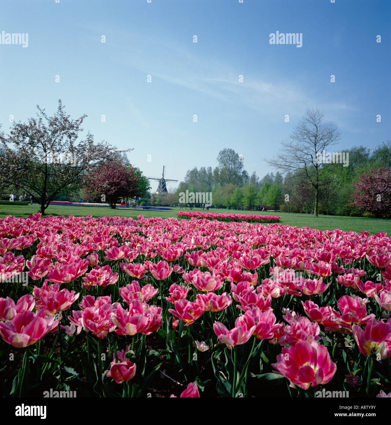 Municipal flower border hi-res stock photography and images - Alamy