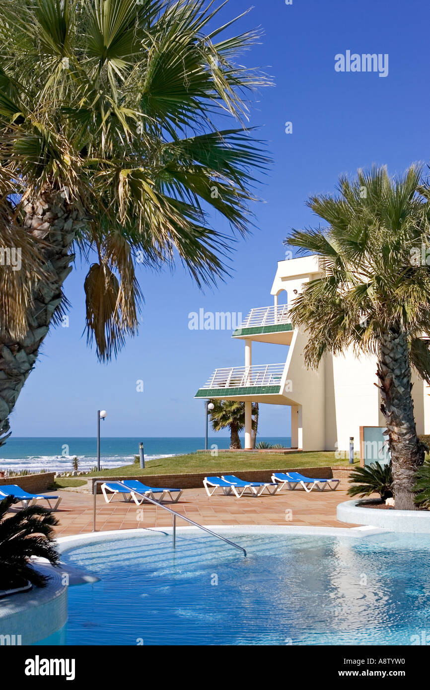 Luxury swimming pool with beautiful sea views and palm trees in a ...