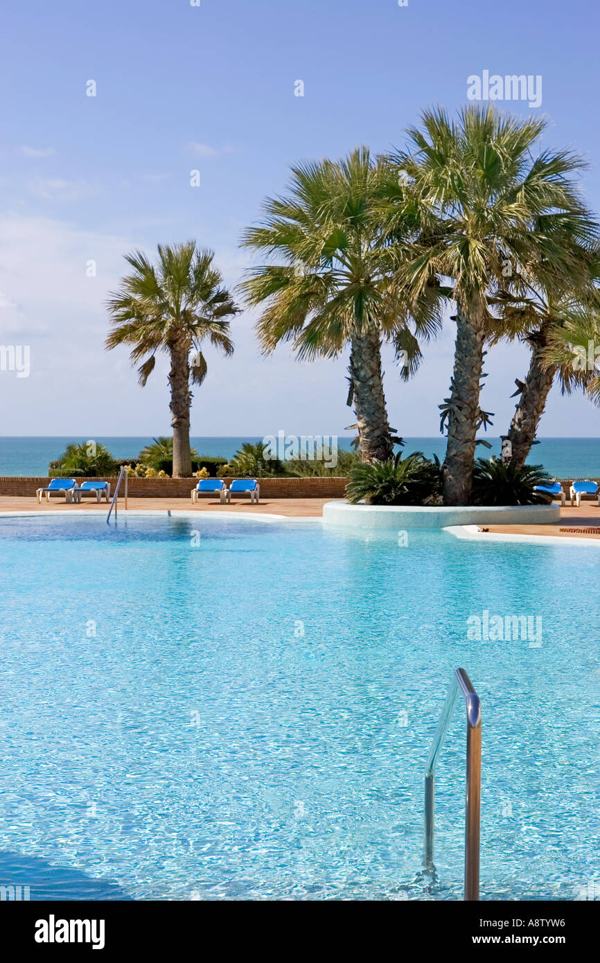 Luxury swimming pool with beautiful sea views and palm trees in a ...