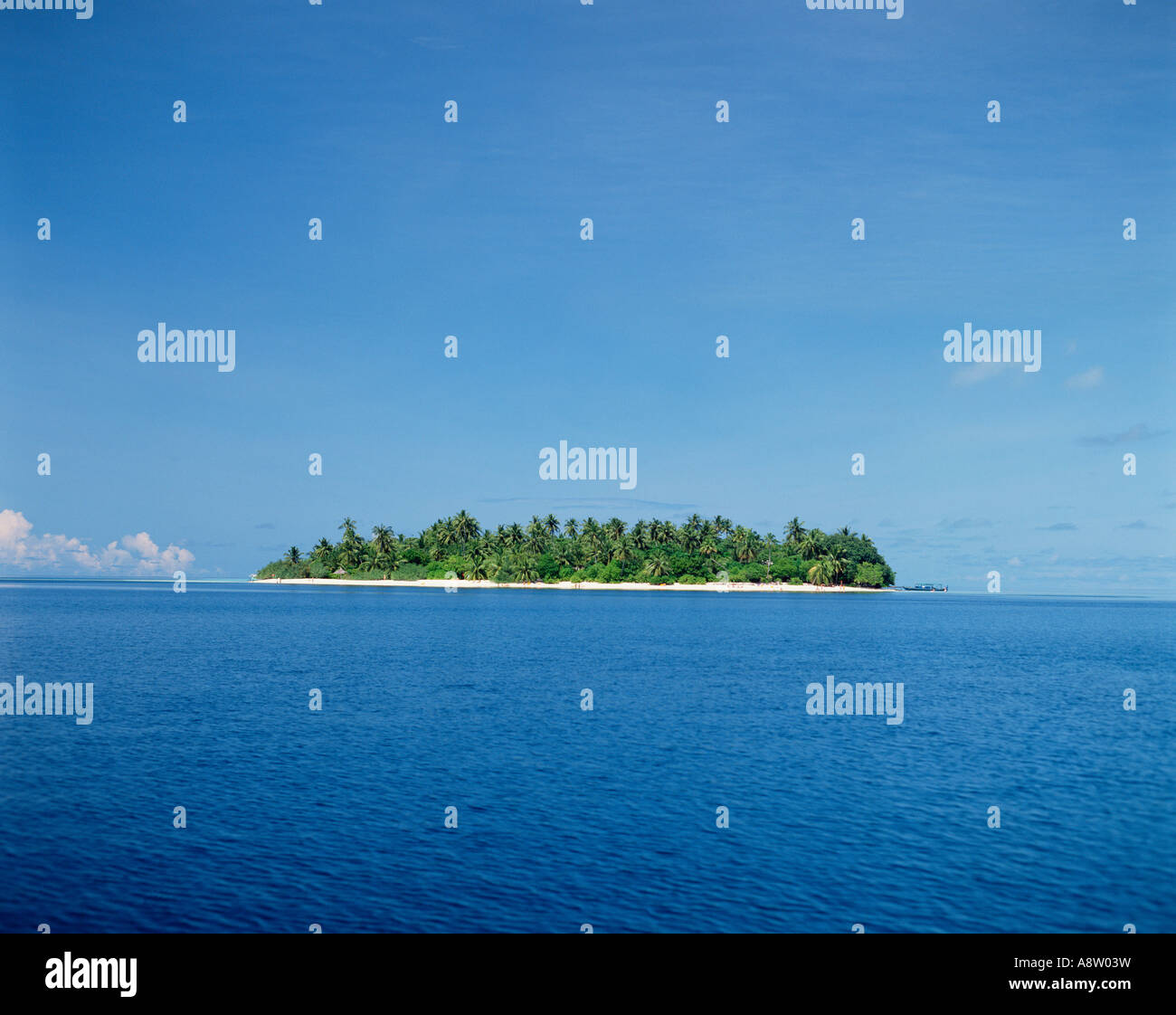 Embudu island. Maldives Stock Photo - Alamy