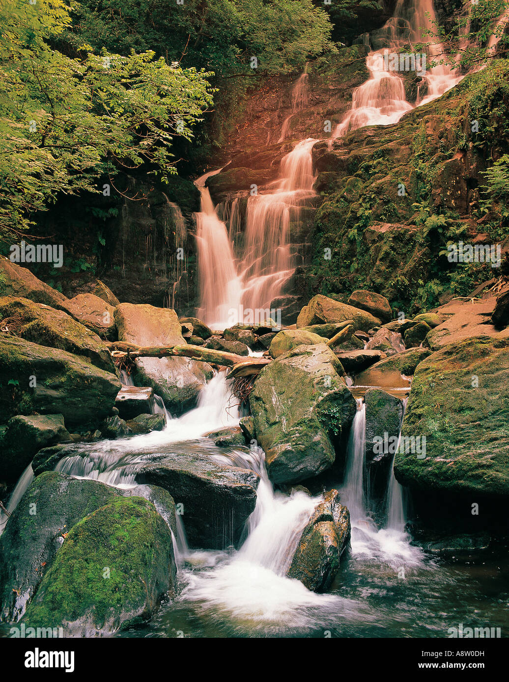 Torc waterfall in County Kerry, Ireland Stock Photo - Alamy