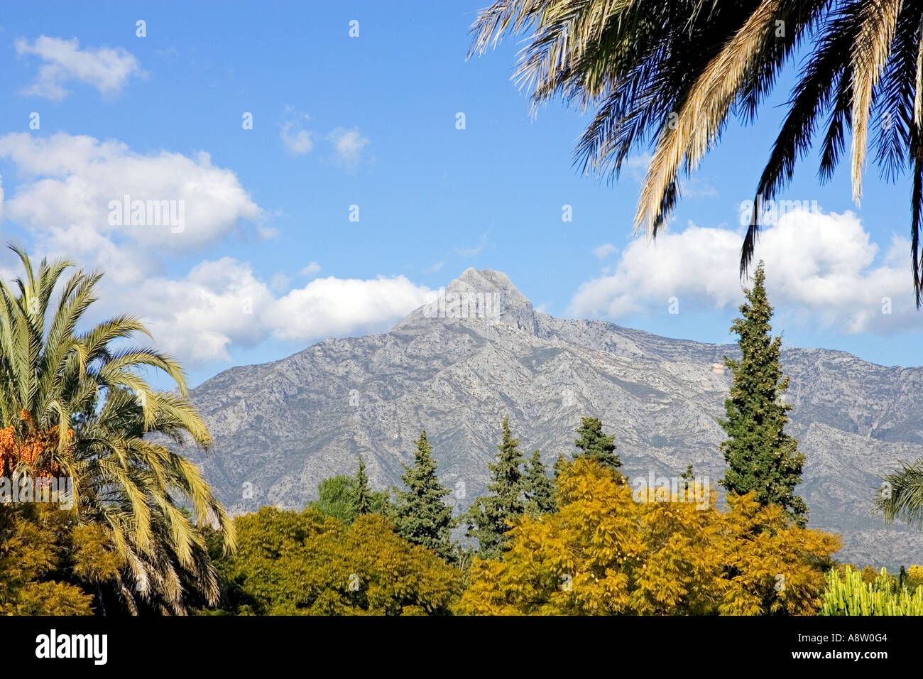 Marbella landscape hi-res stock photography and images - Alamy