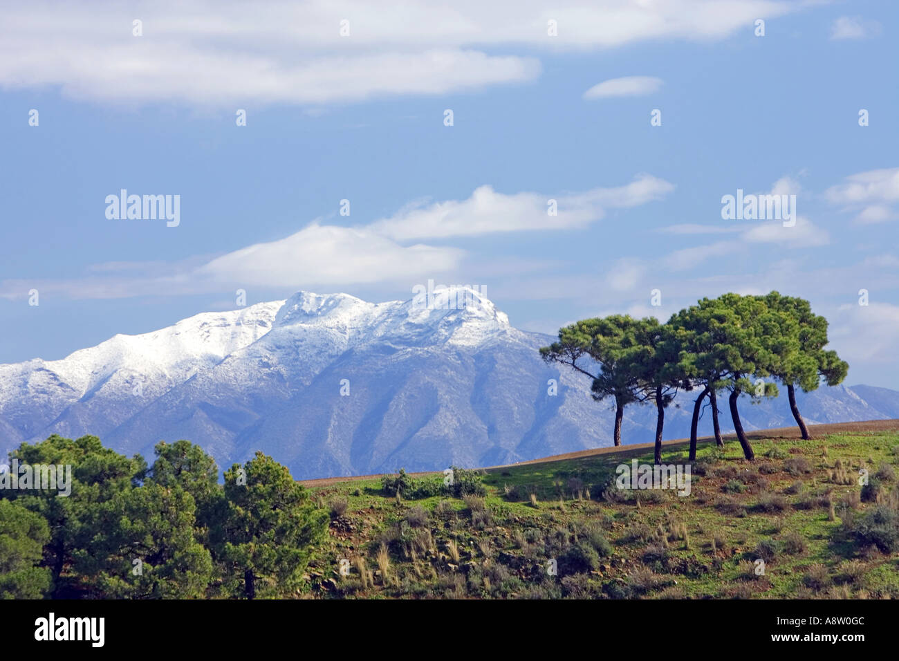 Rare mountains hi-res stock photography and images - Alamy