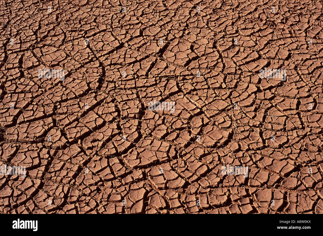 Australia. Drought. Cracked earth close up Stock Photo - Alamy