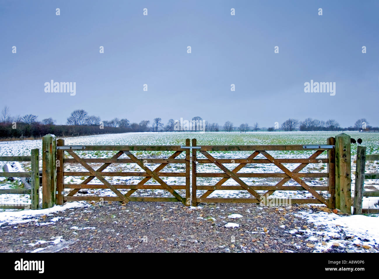 Wooden 5-bar gates next to a wintery field on a farm with black sheep ...