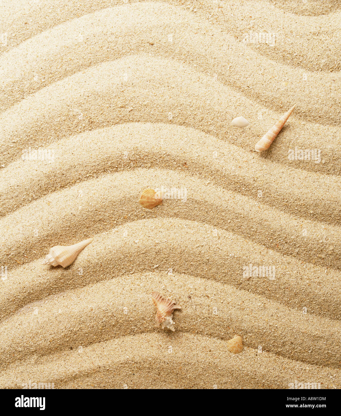 Close up beach in hi-res stock photography and images - Alamy