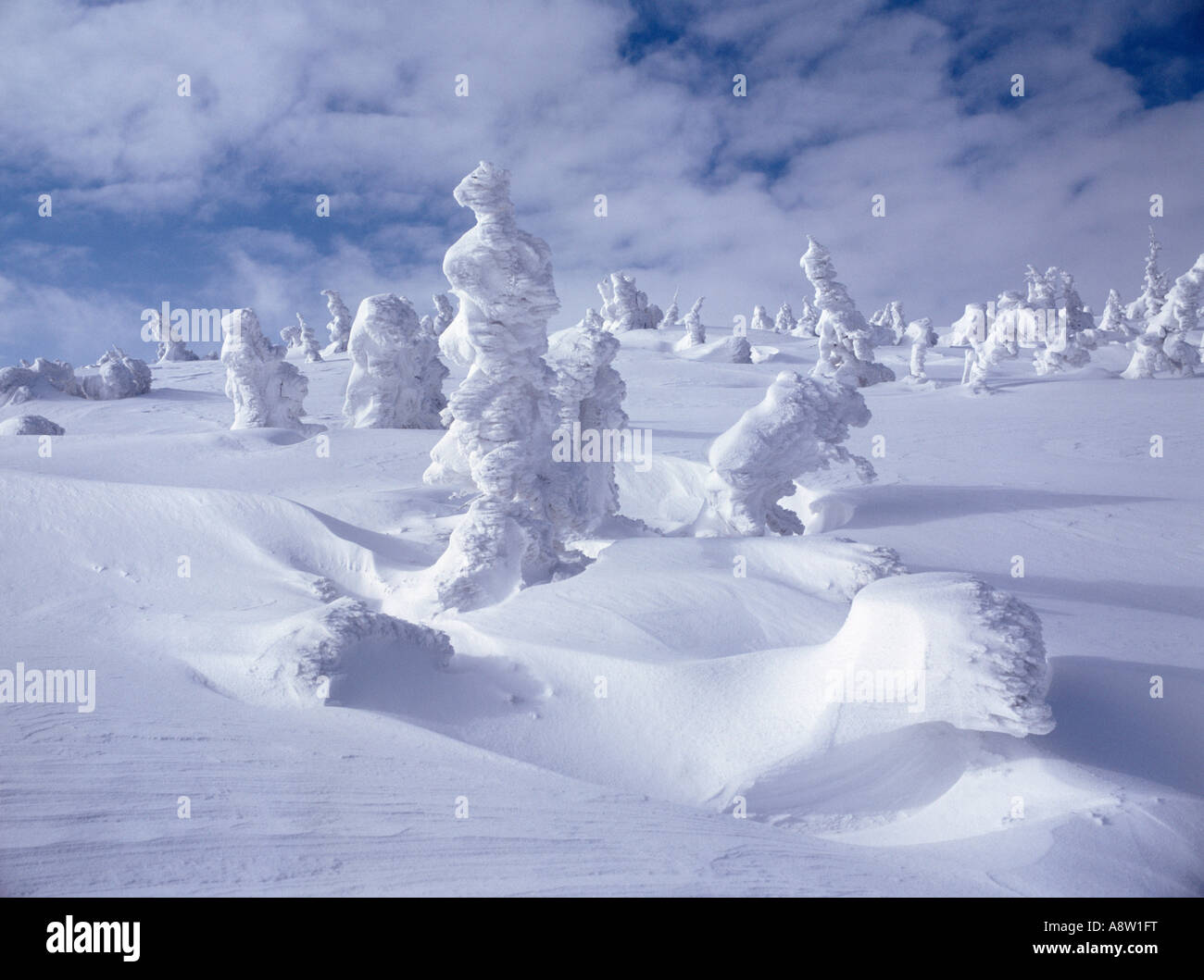 Polish winter landscapes hi-res stock photography and images - Alamy
