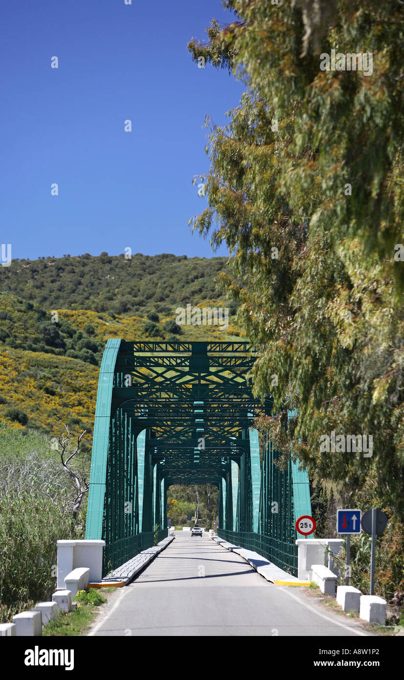 Long green iron bridge over river in Spain with beautiful natural ...