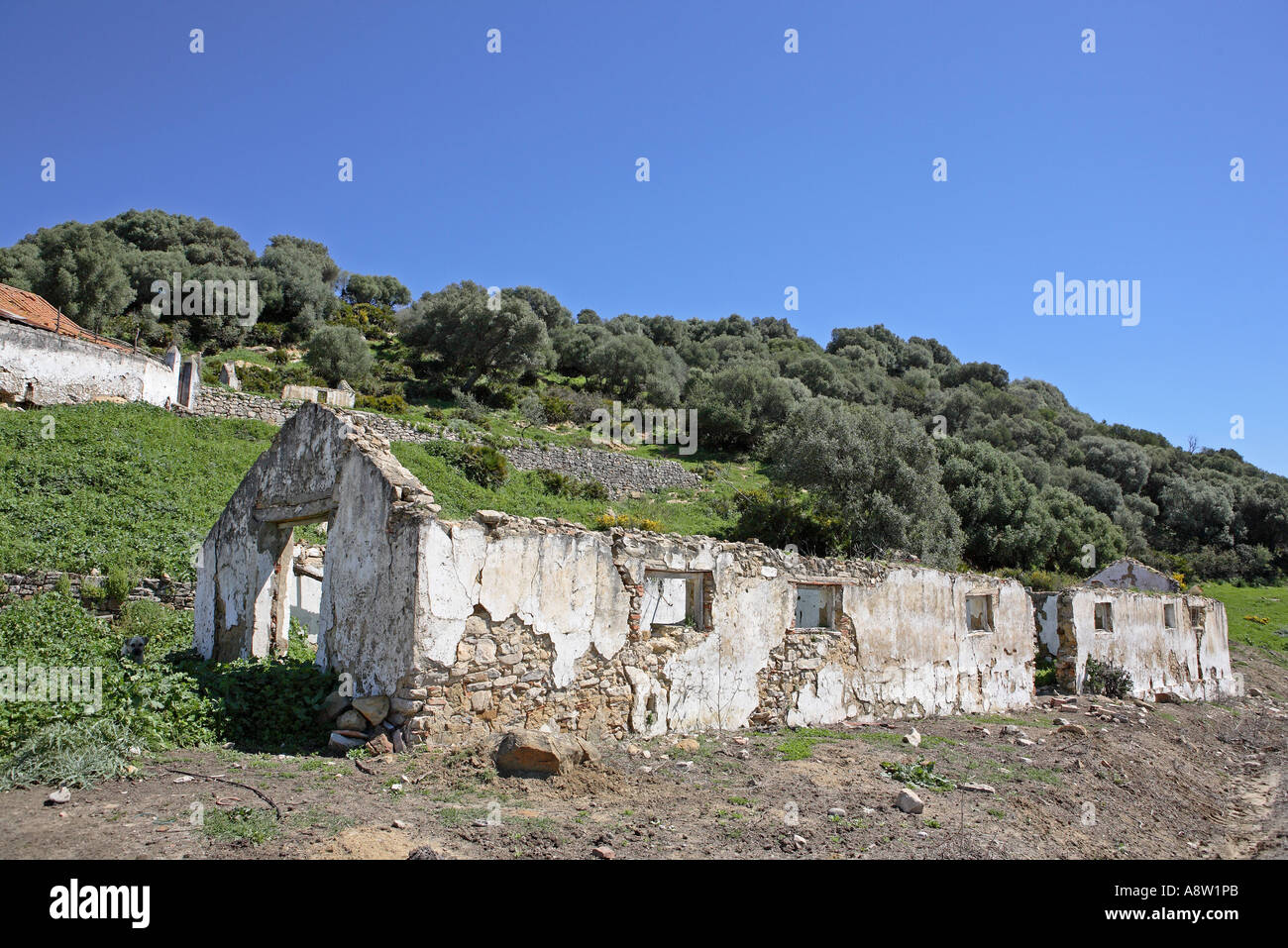 Old run down shack on hi-res stock photography and images - Alamy
