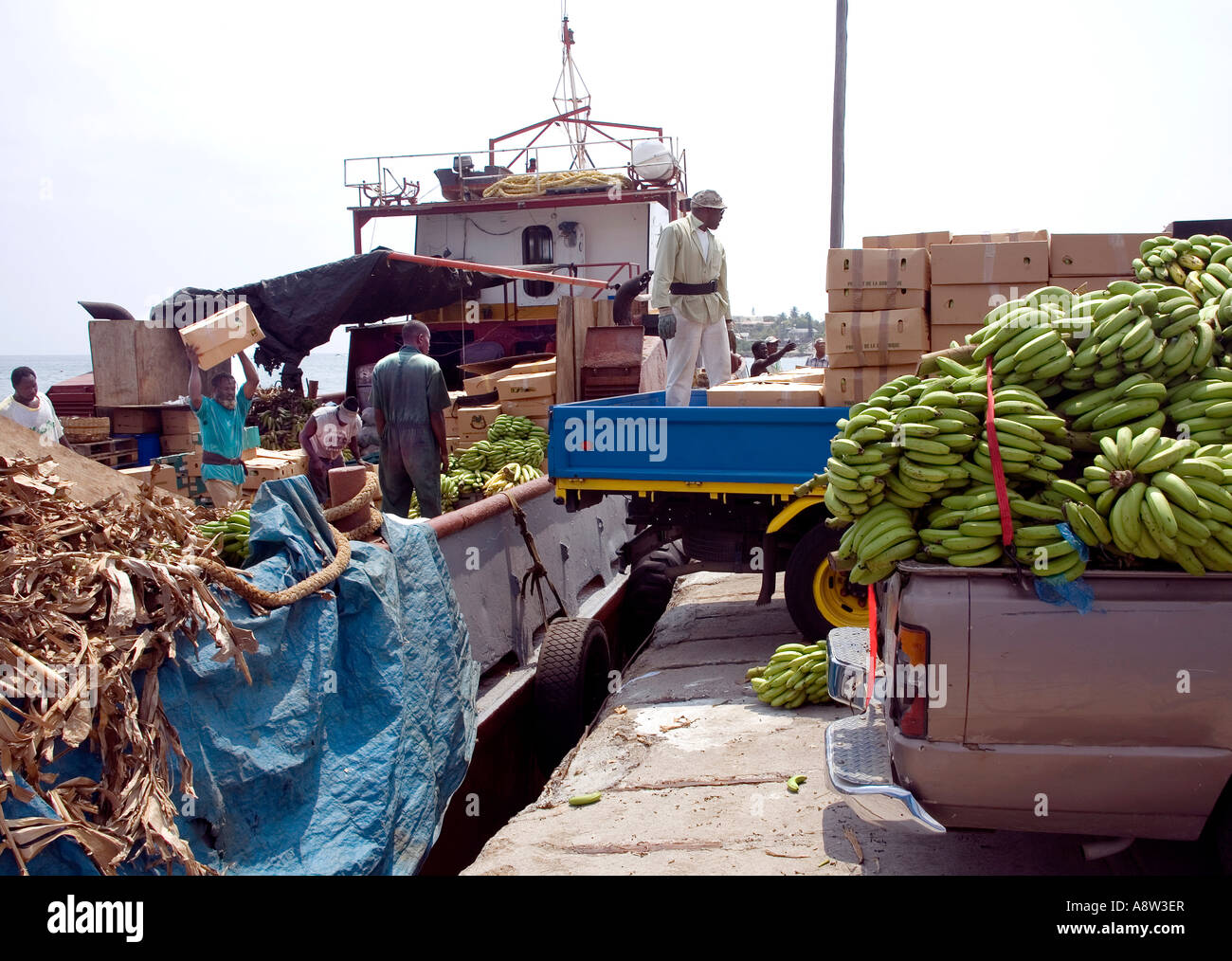 Unloading Bananas from the ship in St Kitts Antilles Stock Photo - Alamy