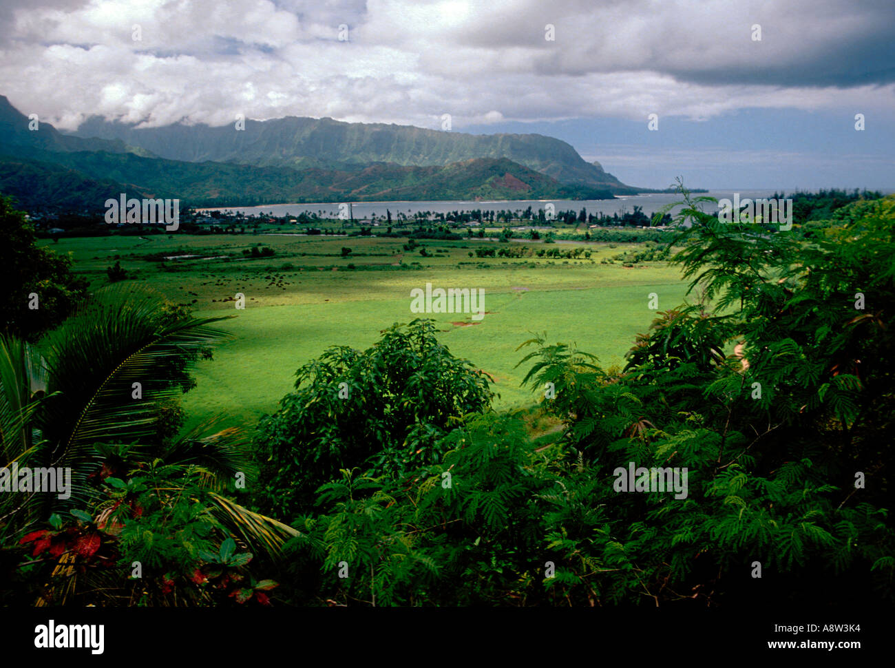 grazing land, pasture land, Hanalei Valley, Kauai, Kauai Island, Hawaii ...