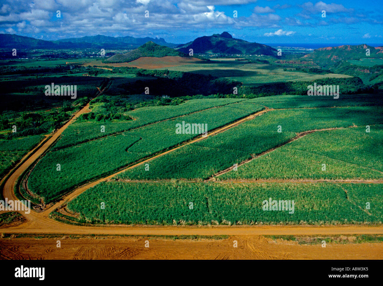 agriculture, agricultural field, agricultural fields, crop, crops ...