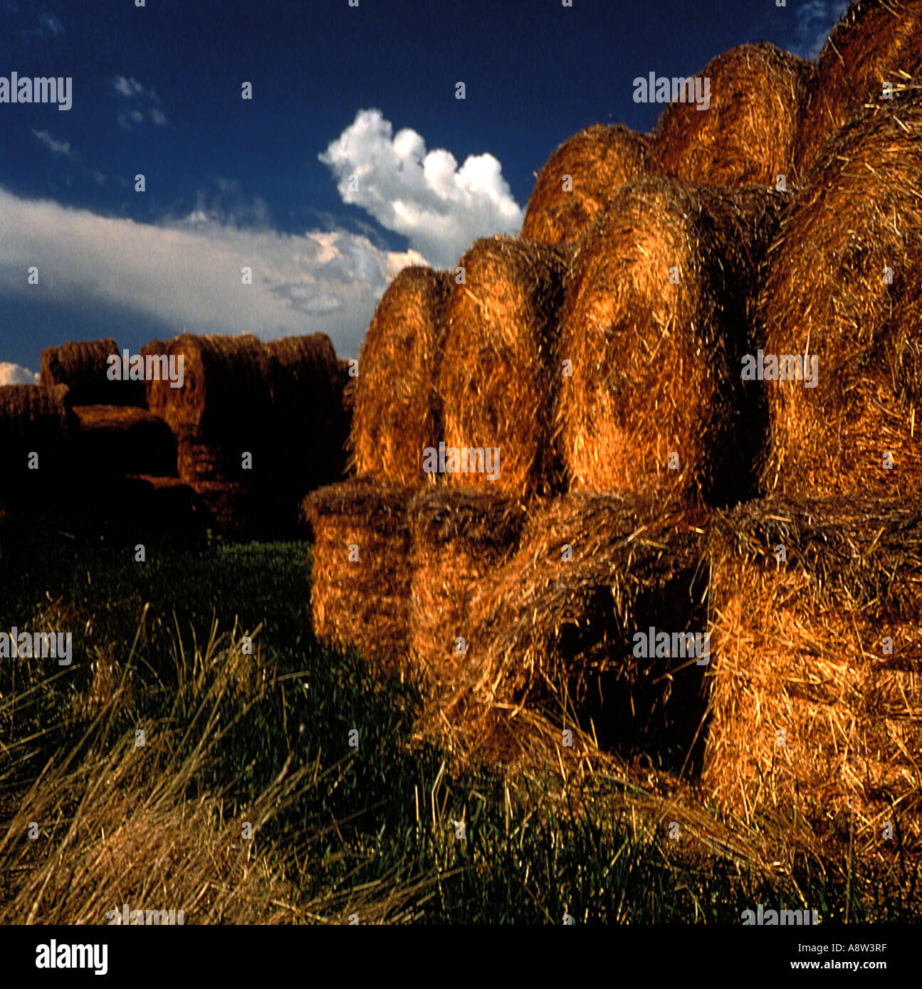 Montana hay season hi-res stock photography and images - Alamy