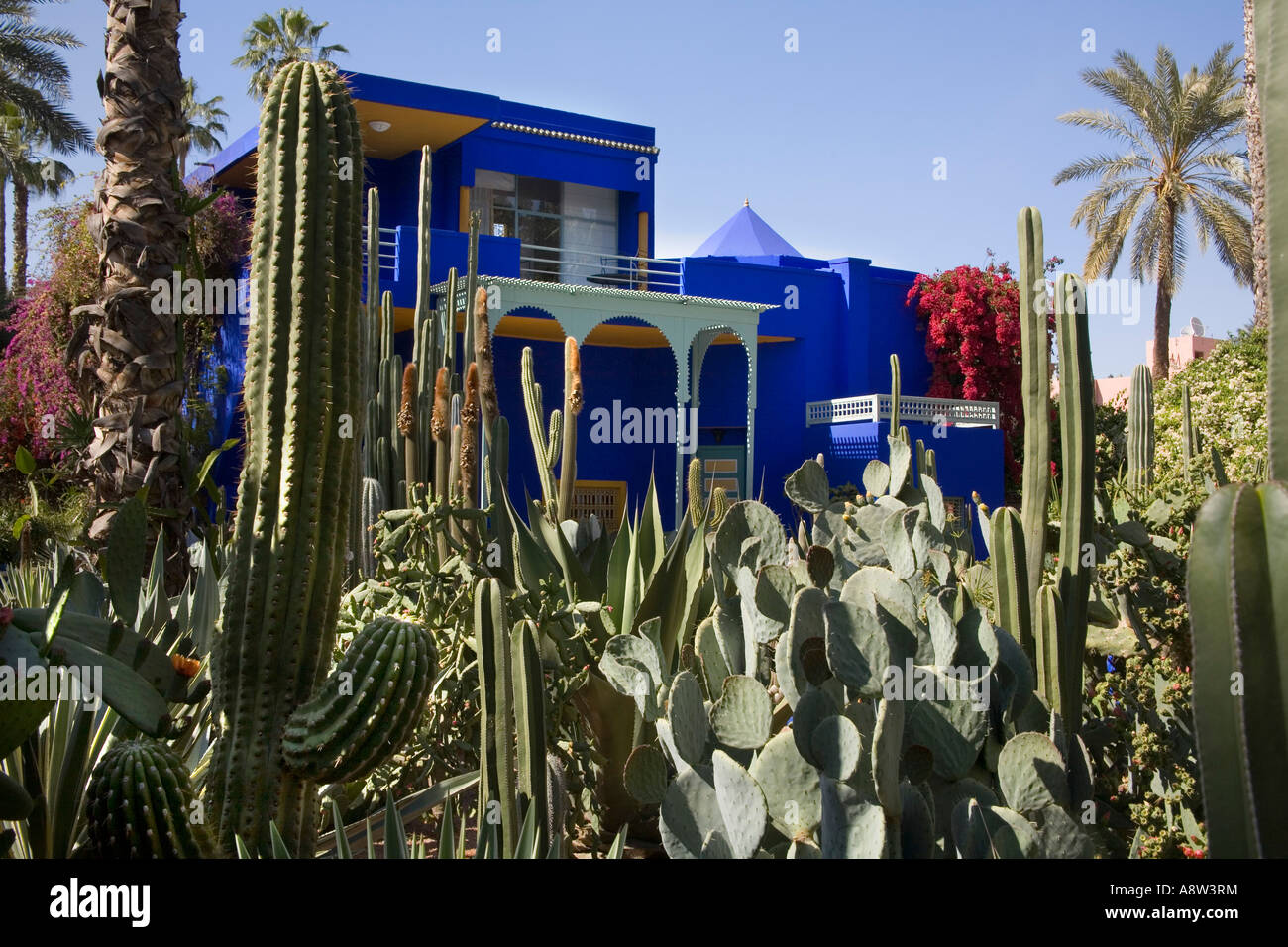 The beautiful tropical Jardins Majorelle in Marrakech Morocco Stock ...
