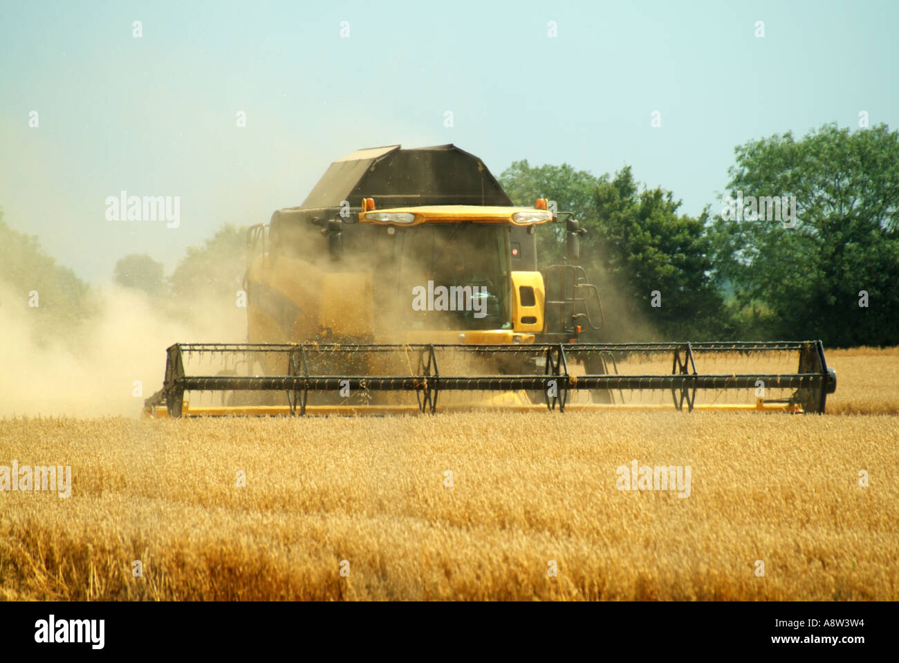 Combine harvester at work and creating dust Stock Photo - Alamy