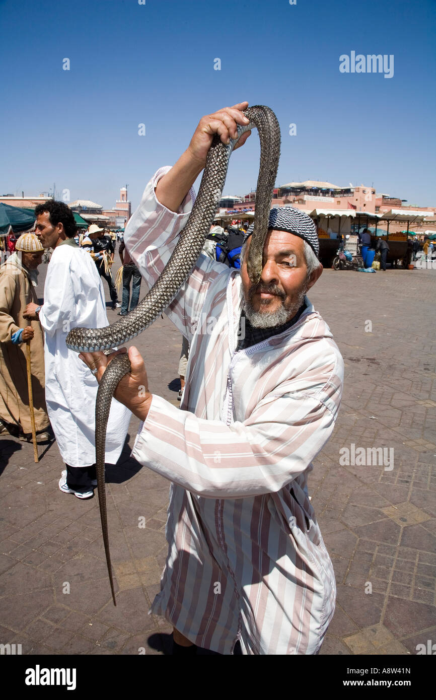 Male Snake Charmer High Resolution Stock Photography and Images - Alamy