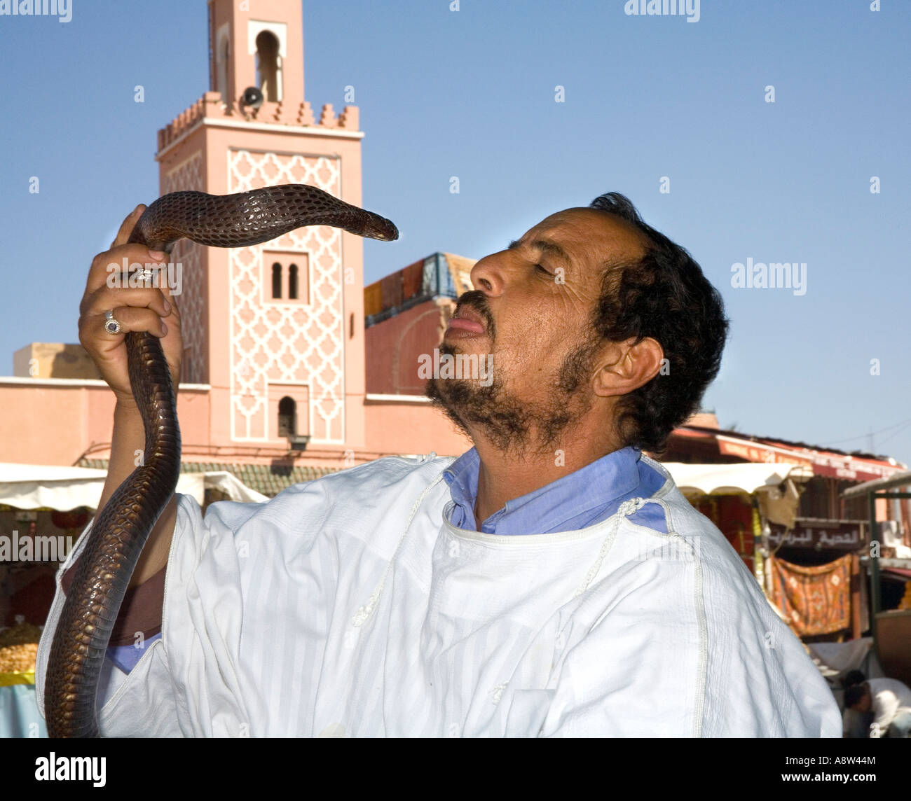 Snake Charmer in Jemaa El Fna Square in Marrakech Morocco Stock Photo ...