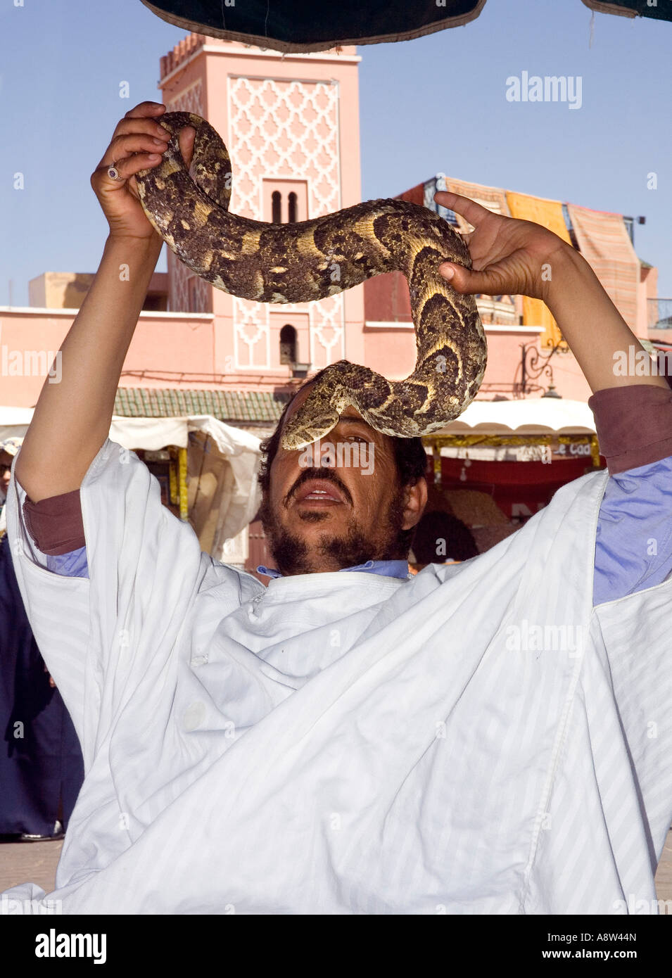 Snake Charmer in Jemaa El Fna Square in Marrakech Morocco Stock Photo ...